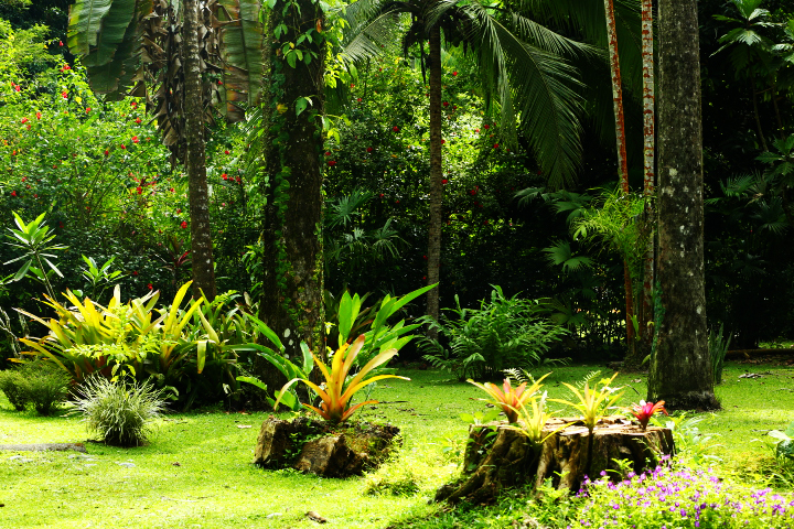 jardin-casa-mambo-loco-natural | Loco Natural Jungle Houses