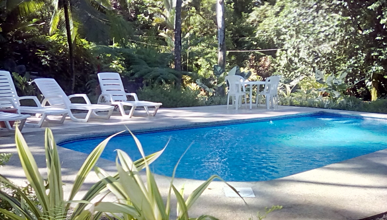 piscina_loco_natural_pajarera | Loco Natural Jungle Houses